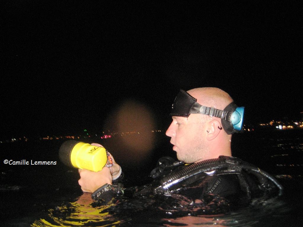 Recreation & Sport: PADI, diving and Instructor Development (IDC)