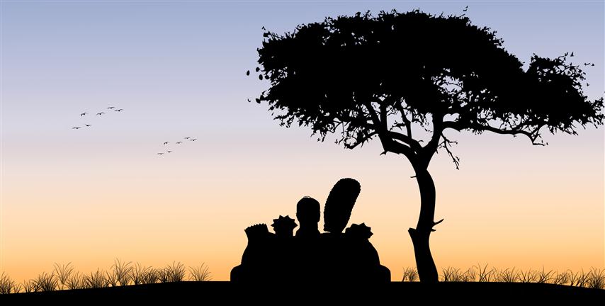 Drews Portfolio: The Simpsons sunset