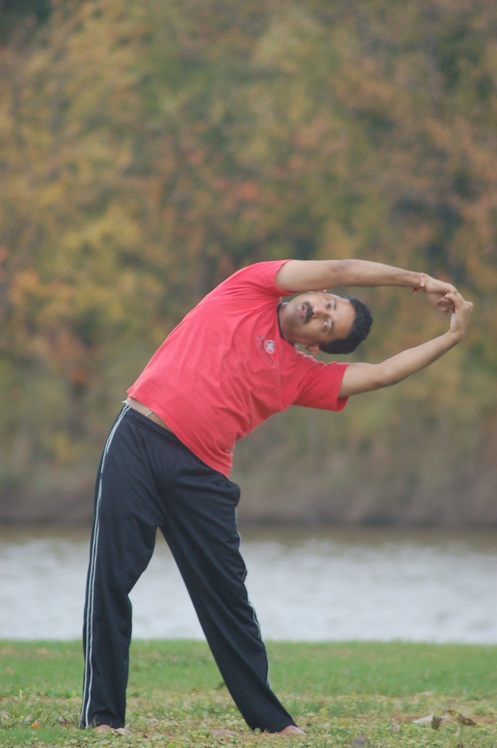 Triyak Tadasana (Swinging Palm Tree Pose)