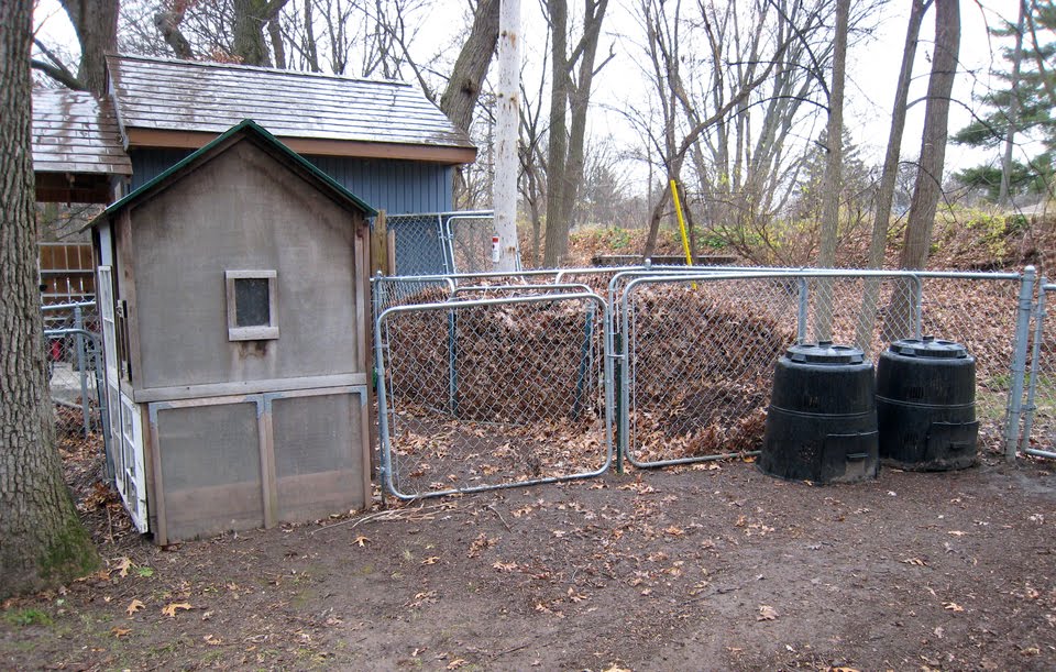 MadCityMike's Blog: "The Re-organized Chicken Run with Compost Bins ...