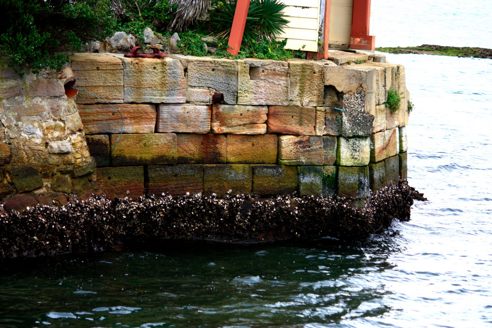 Thru my Sydney Eye: Harbour Islands (5) - Spectacle Island