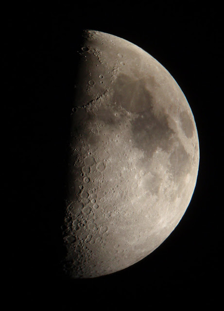 Gran Canaria "Un Paisaje por Descubrir" : enero 2010