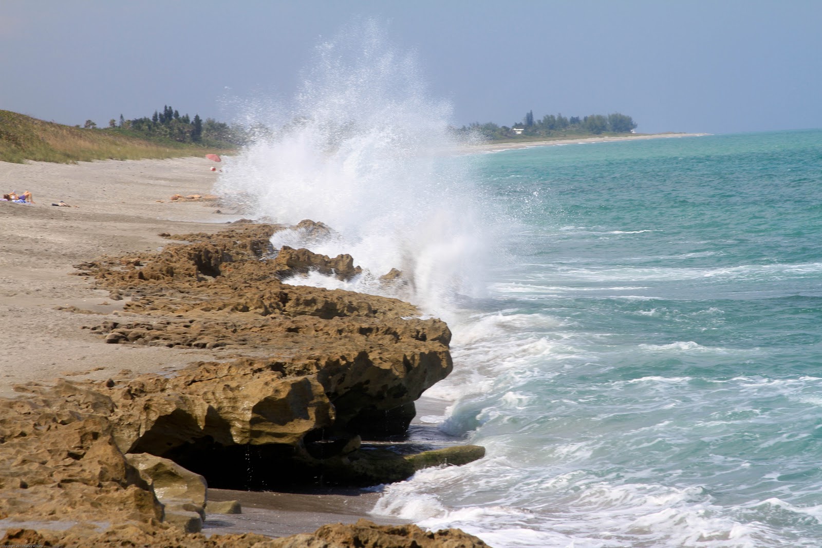 Blowing Rocks Preserve Florida