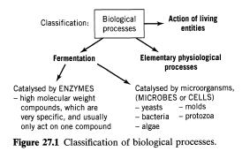 chemical engineering: Enzyme Fermentation