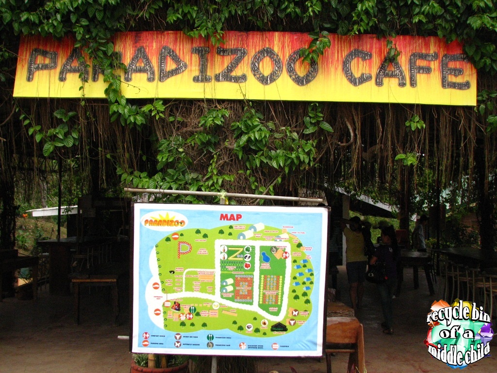 Some reasons why you should pay a visit to Paradizoo Theme Farm ...