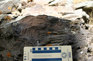 Dinochick Blogs: Glacier National Park Geology & Paleontology: Part 3 ...