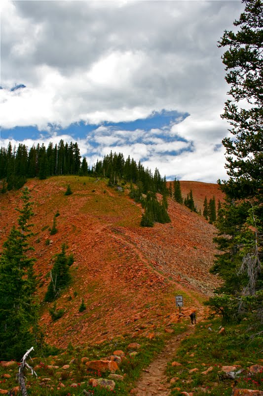 Colorado Lifestyle: Mt. Thomas
