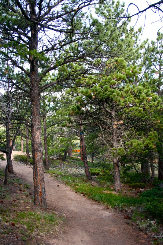 Colorado Lifestyle: Caribou Ranch