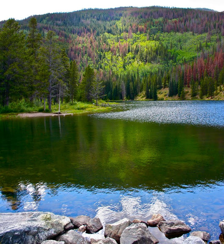 Colorado Lifestyle: Officers Gulch
