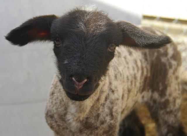 Life at the Lake: Little Bitty Bummer