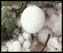 Hagal - Las Ocho Runas De Hagal - - Las Revelaciones del Tarot