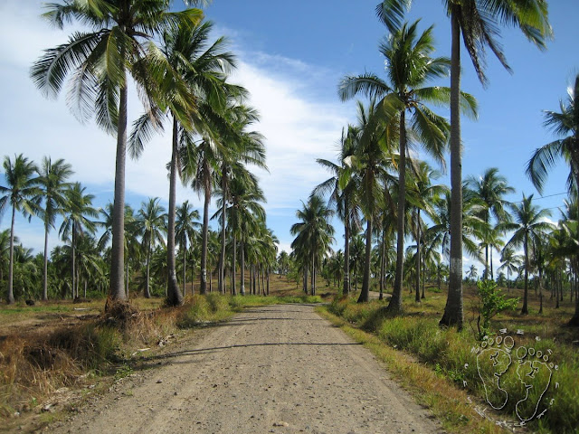 SNAPSHOTS: Catch from Bulan Sorsogon