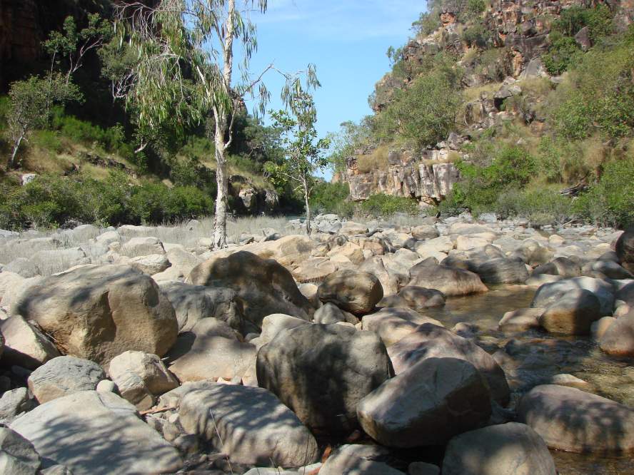 The voyage of S.V. Catcha Star: Rainforest Revine