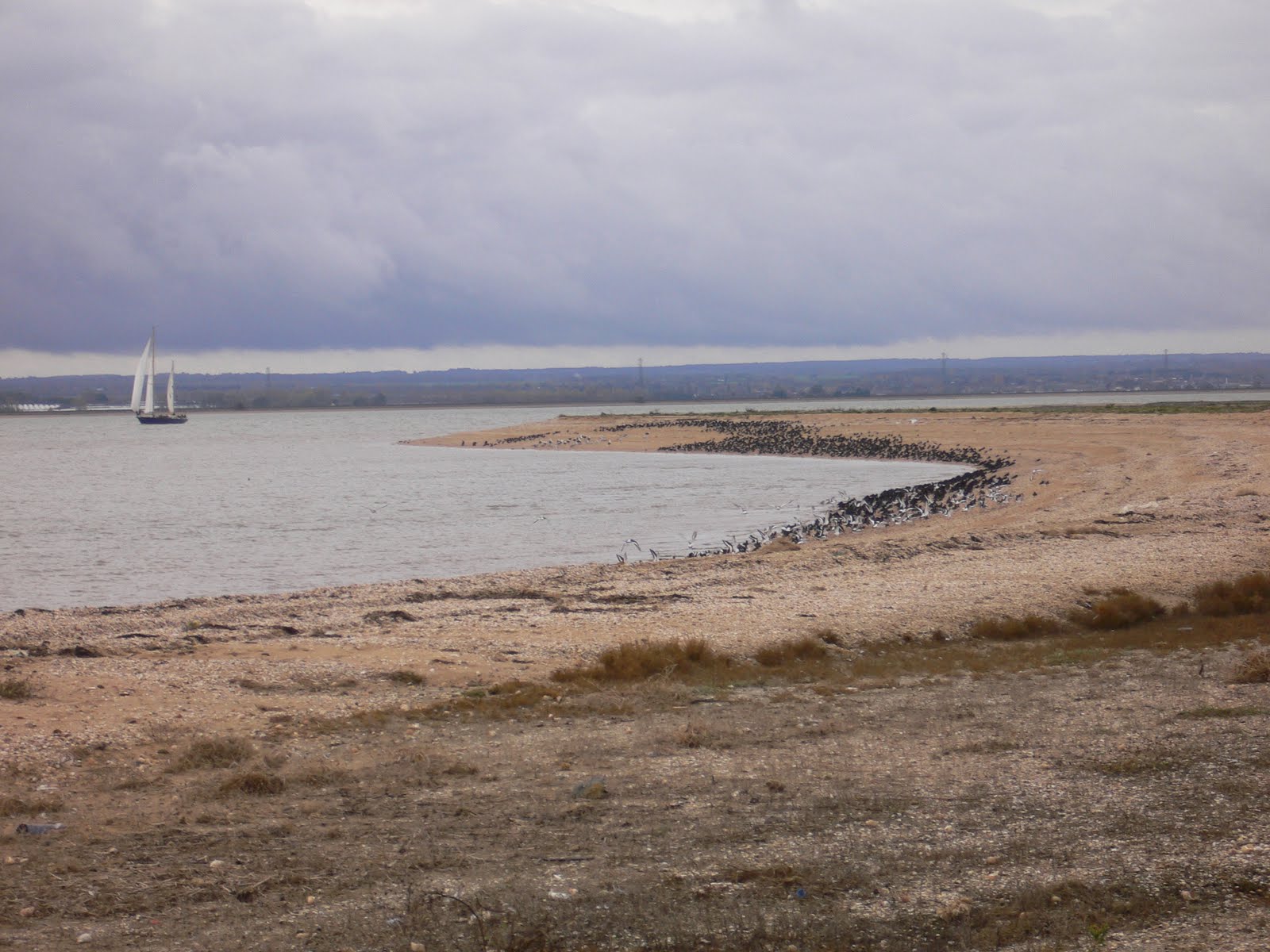 LETTERS FROM SHEPPEY: SHELLNESS, SHEPPEY