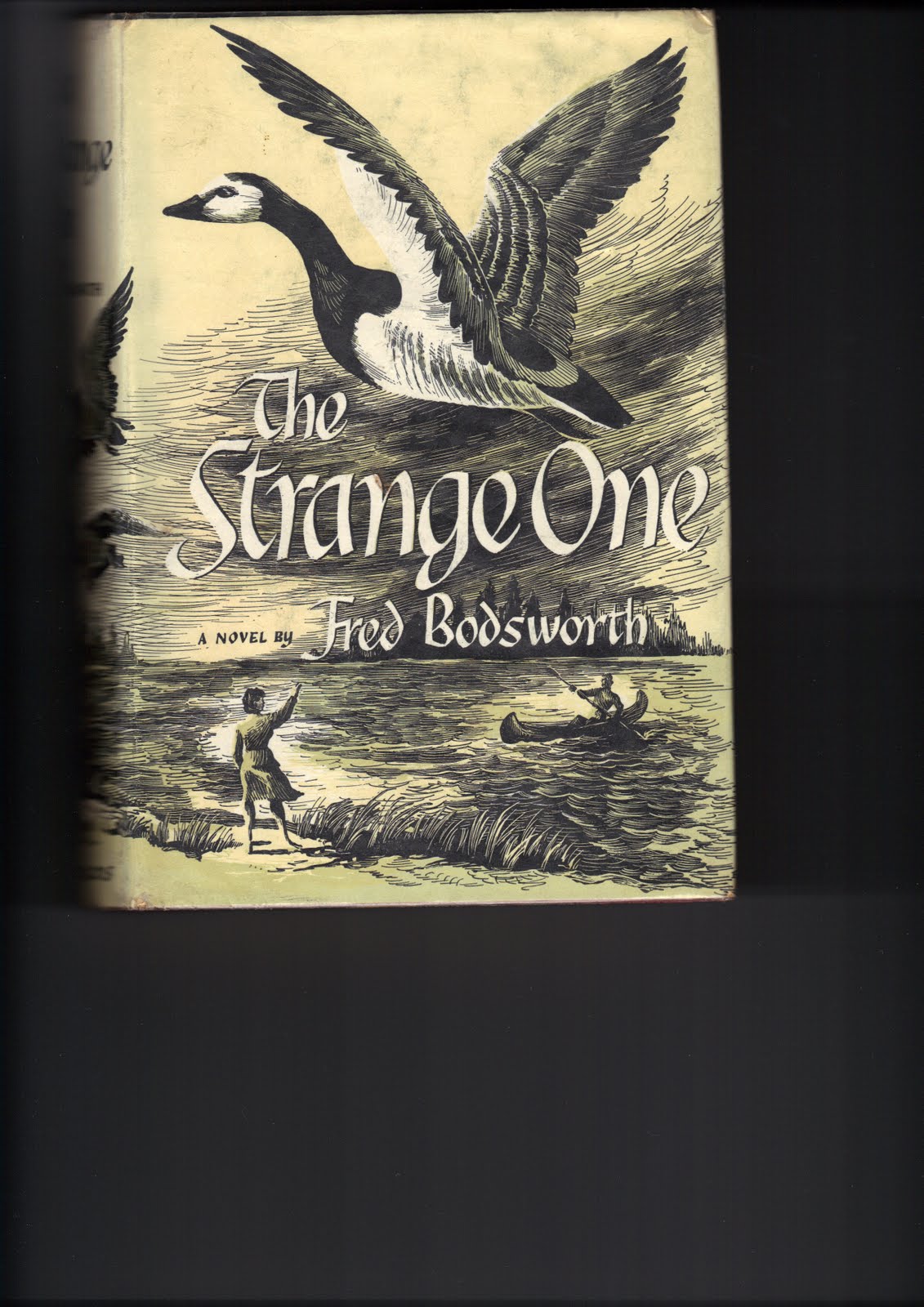 LETTERS FROM SHEPPEY: November 2010