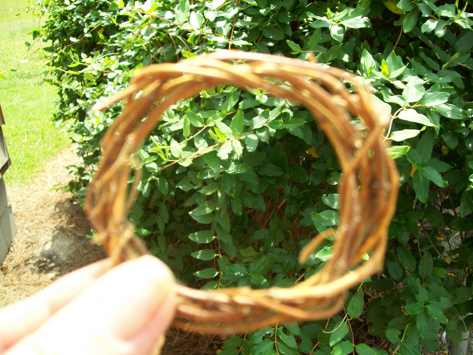Cubbiehole Crafts: How to make a vine wreath