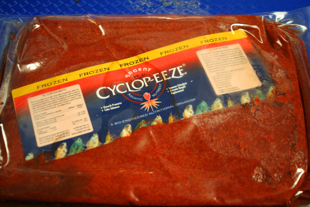 BOHEMIAN adventures: Gulf Road Trip Day 1-2