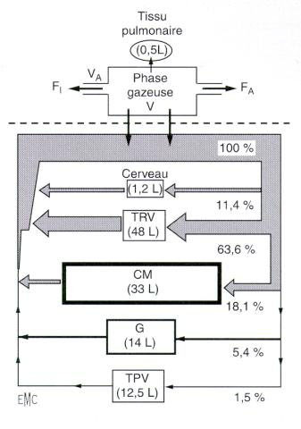 Taysir assistance الإسعاف الطبي تيسير: Distribution tissulaire