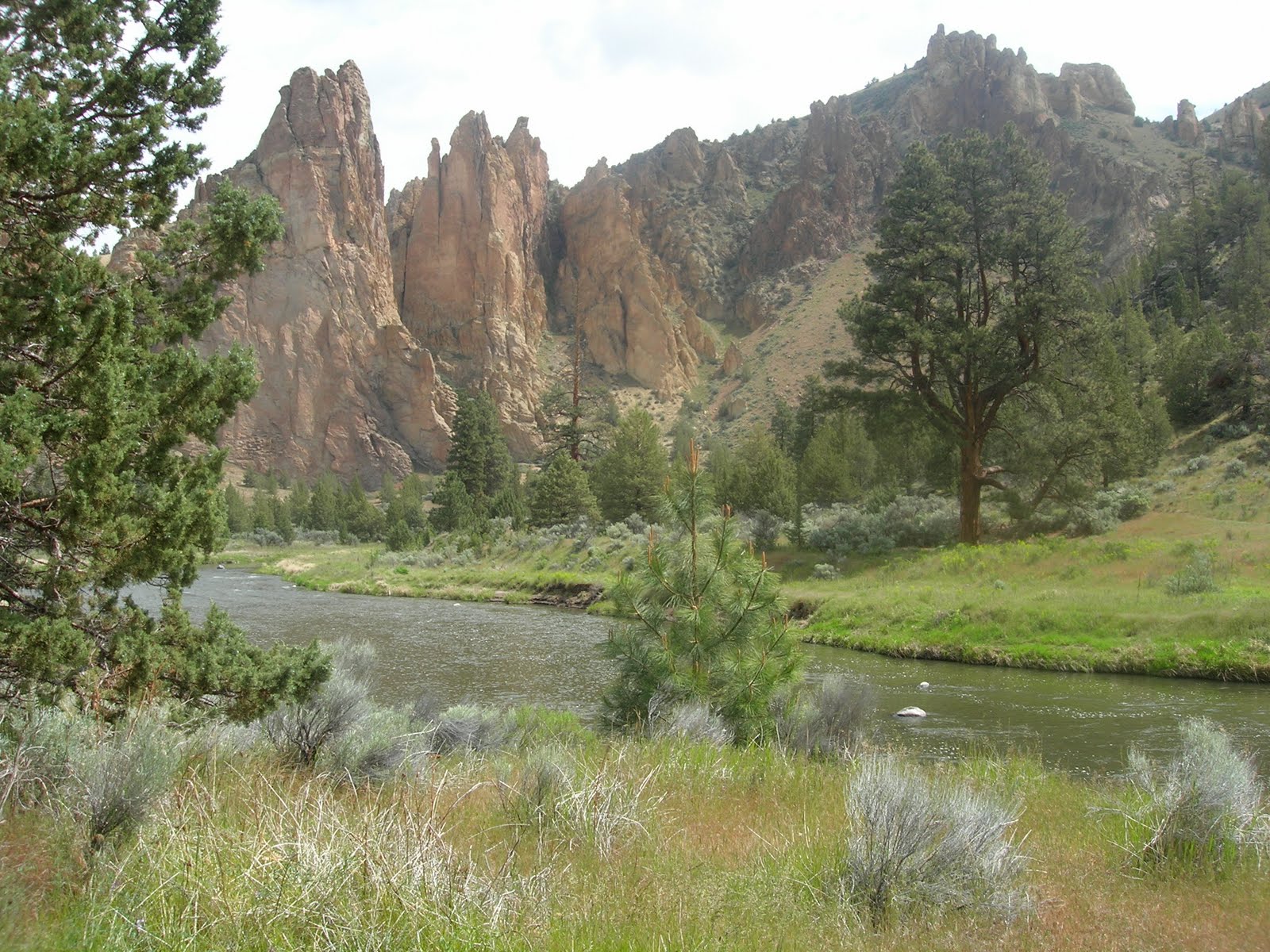 Timberline Mountain Guide's Blog: Scenes from the 2010 Spring Season