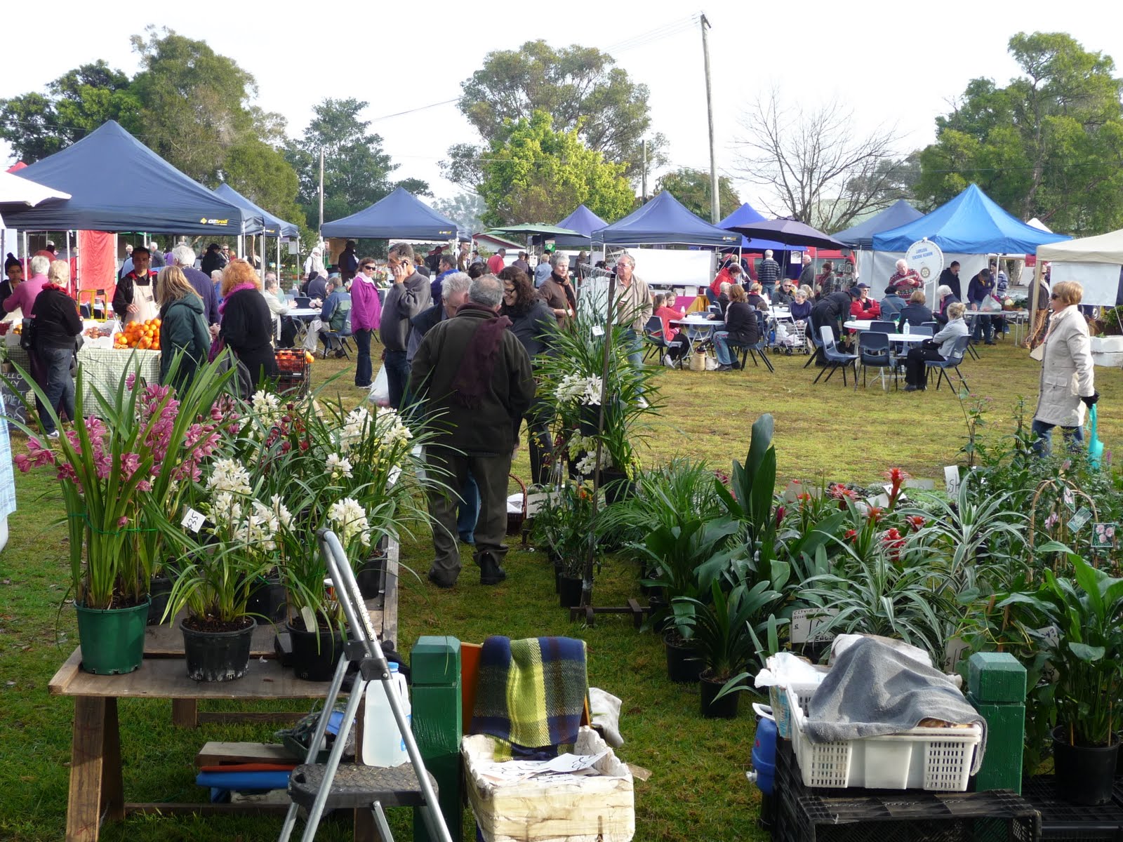 The Urban Potager: Farmers Markets!