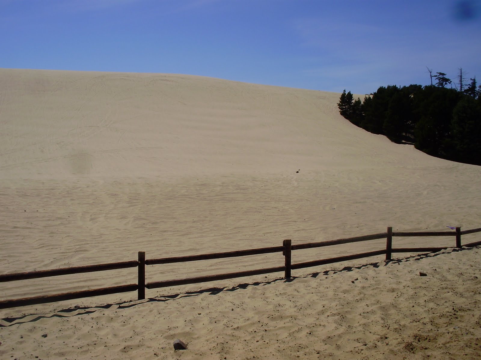 Life at 55 mph: Oregon Dunes National Recreation Area in Oregon (click ...
