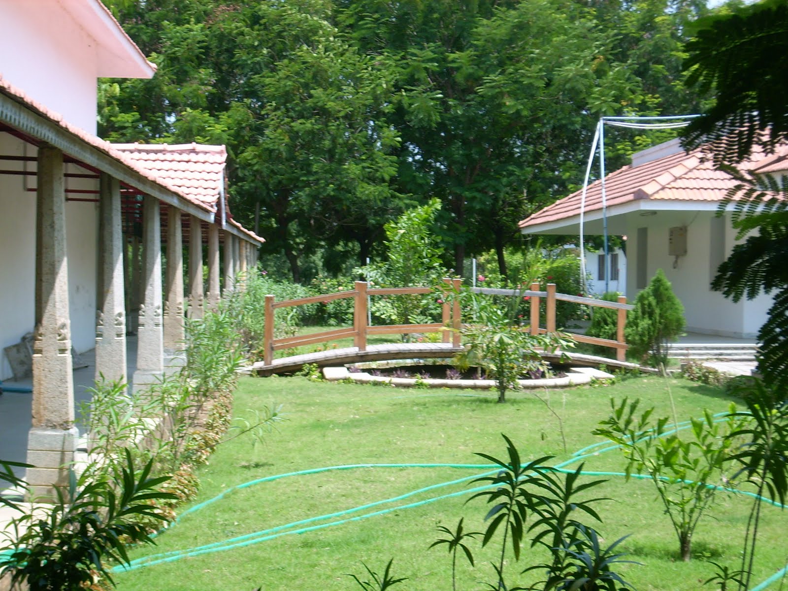 Asia allá vamos: Meditando en el Dhamma Setu.... redefiniendo la ...