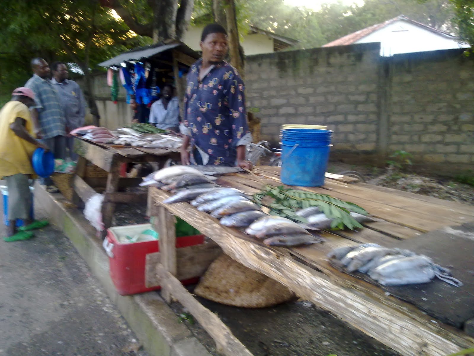 KARIBU MKOA WA TANGA,TANZANIA: 09/01/2012 - 10/01/2012