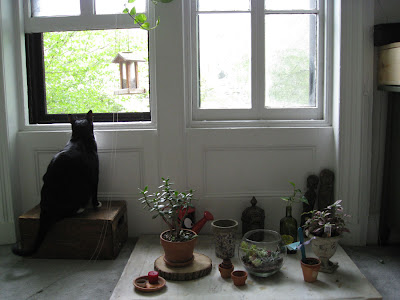 bee warbler's blog: sunday succulent terrarium stoop party