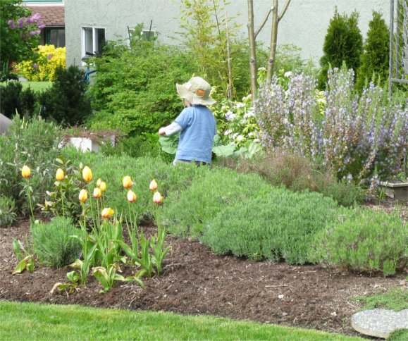 Really Random Garden: GTUF's urban garden tour