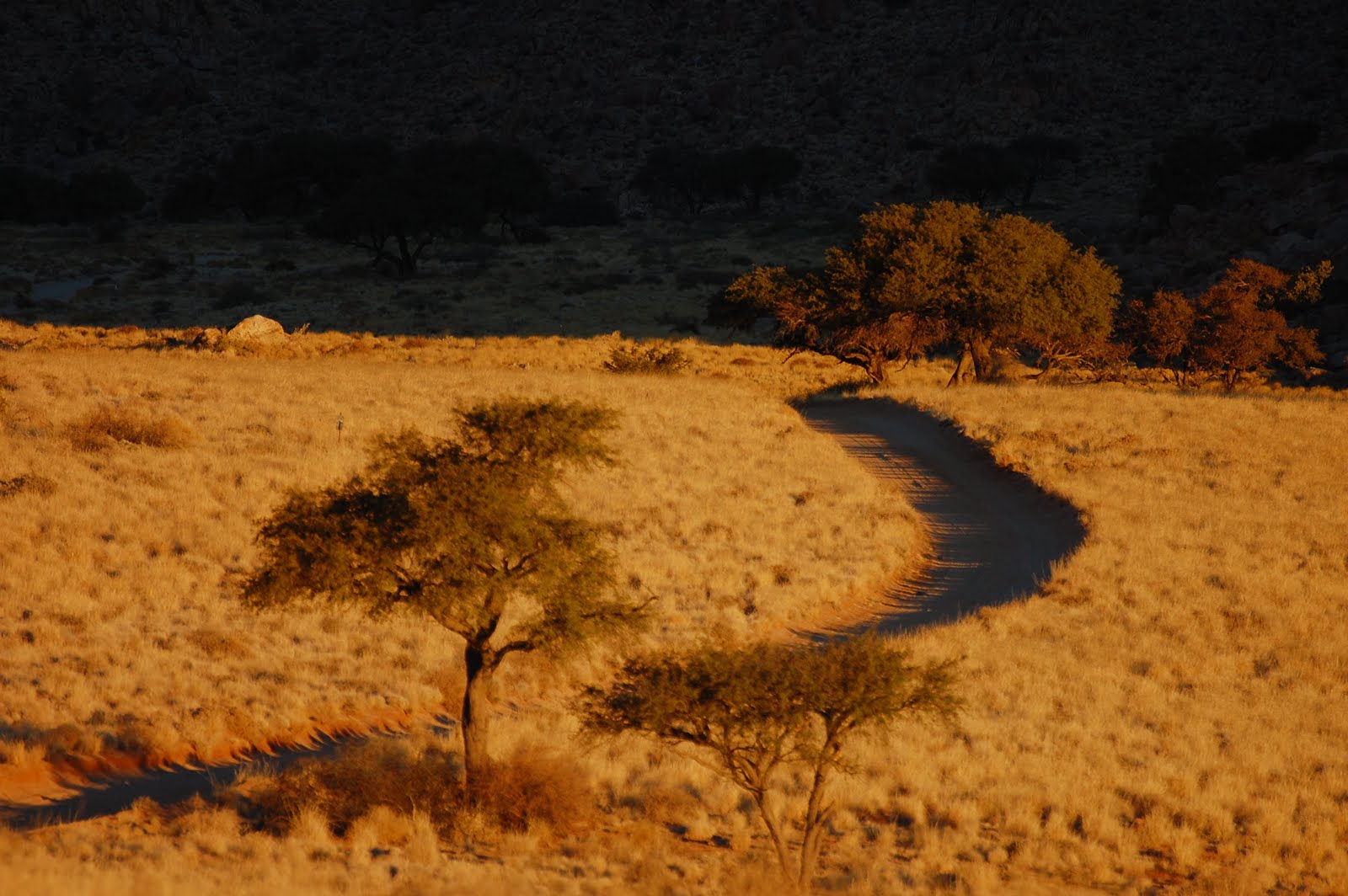 Tom & Katie in Africa by way of Norway: Cold Namibian Nights