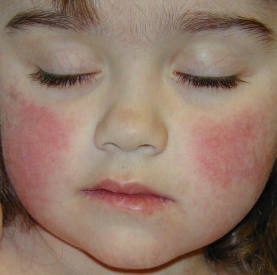 characteristics of virgin girls | Just Another Way To Life