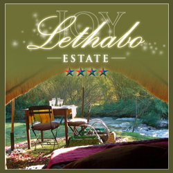 Lethabo Estate: Romantic Picnic Special