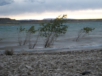 Homestead Harvest: Deadman's Basin Reservoir