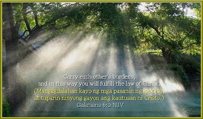 Shared Bible Verses: Carry The Burden