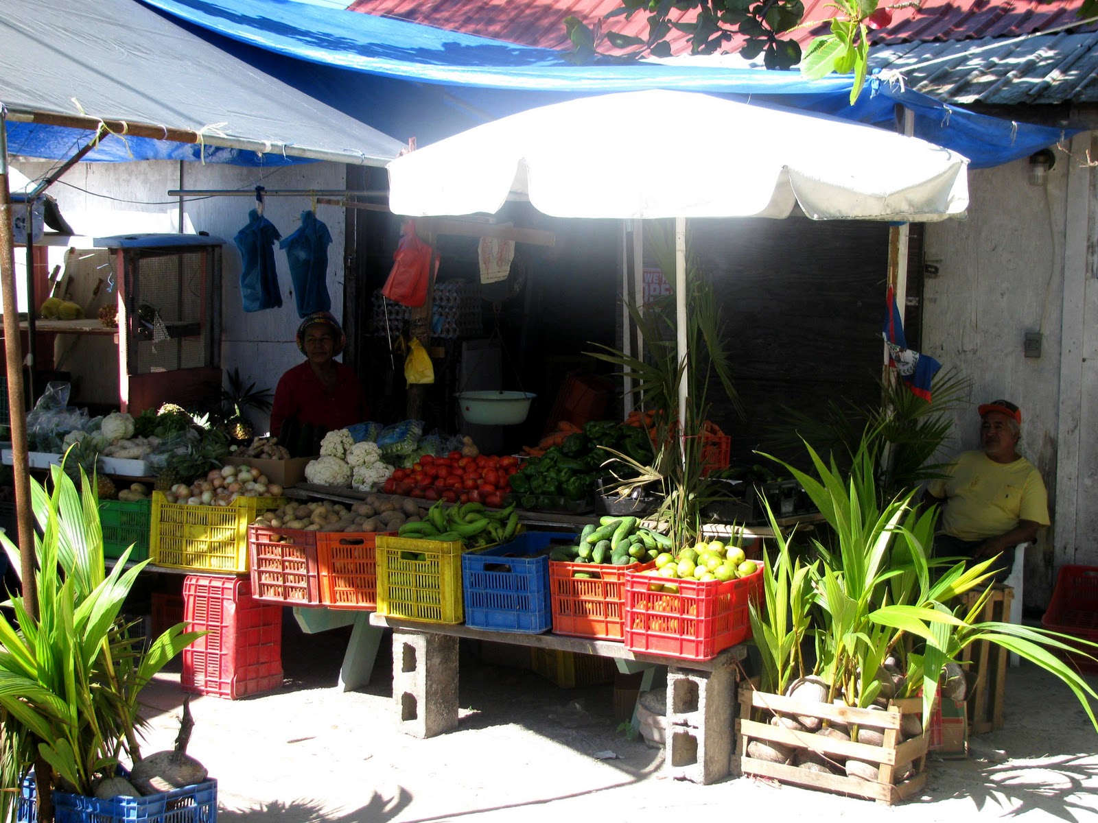 Belize Report: Grocery Stores