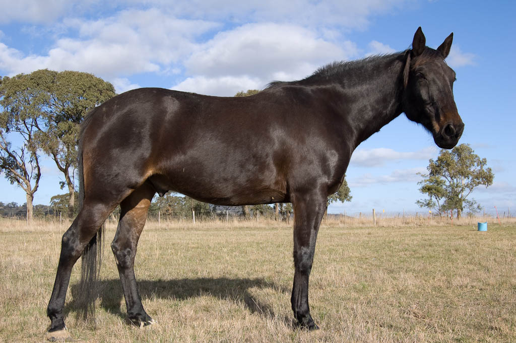 A Little Piece of Green: January 2011