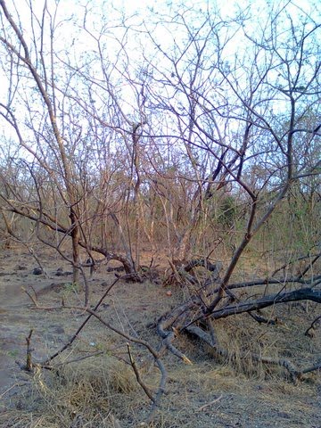 Spice of Life!: March on Tekdi