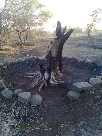 Spice of Life!: March on Tekdi