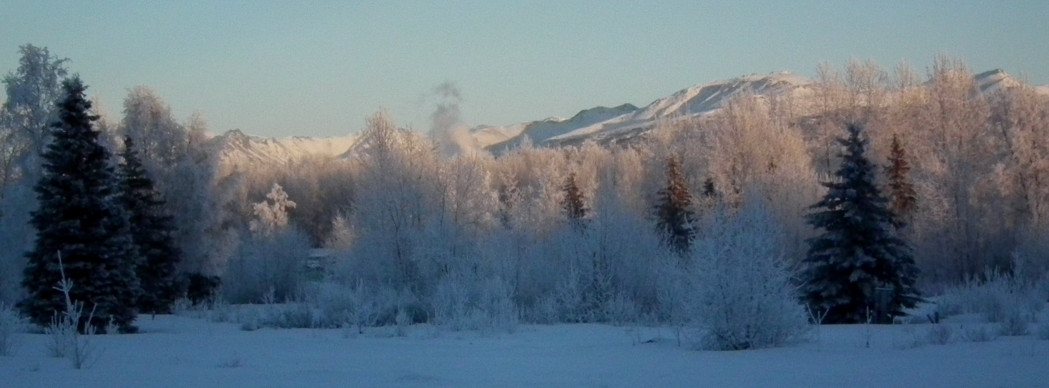 The Show and Tell Nature Blog: Winter Wonderland, or Wasteland?