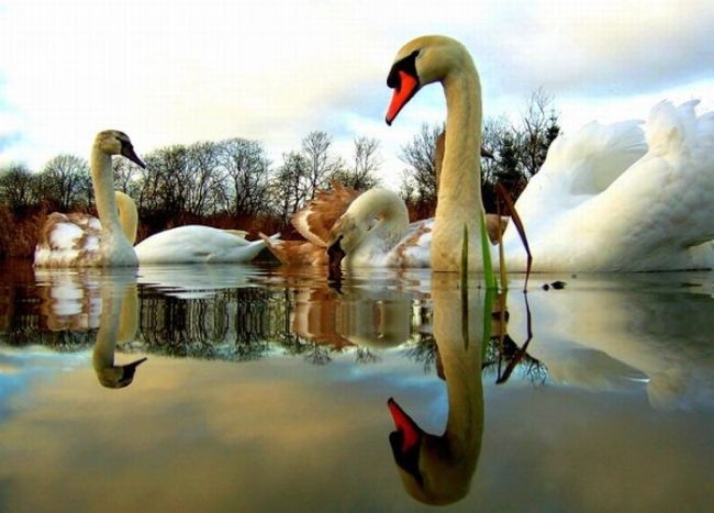 Funtrublog: 16 Amazing Reflections Photographs