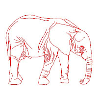 AF IMAGEDATA: animals in 2d cad drawing