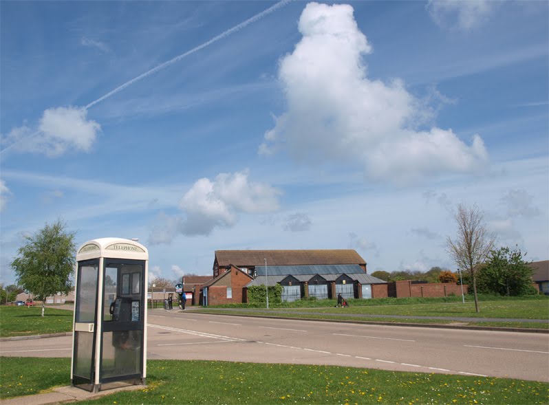 Exploring Bransholme: Green Bransholme