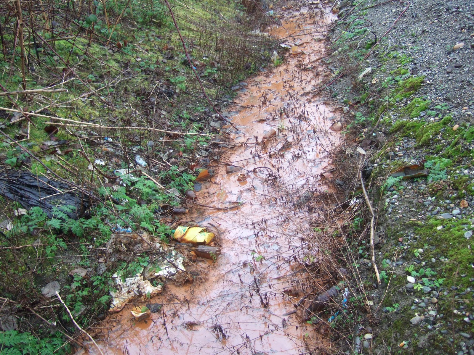 Reading the Washington Landscape: Leachate, Iron Stains in the Ditch