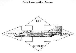 Aerodynamics Of Life: Lift, Drag, Thrust and Weight