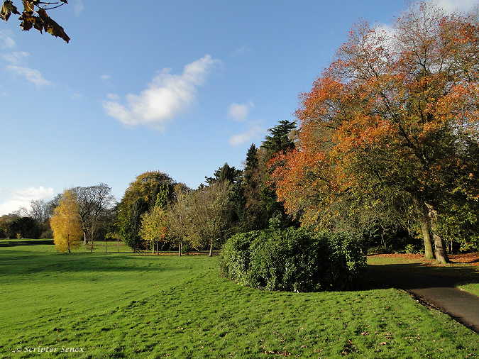 On the Wirral : Arrowe Park in the Autumn