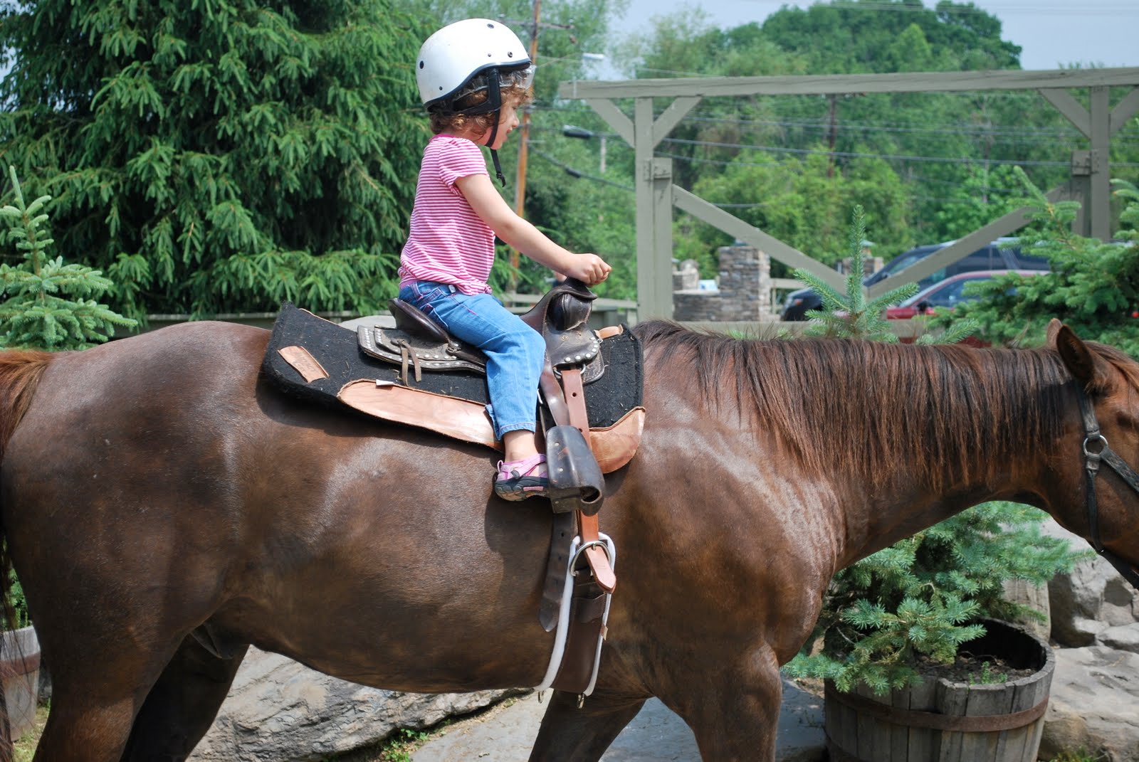 cute and powerful: Rocking Horse Ranch