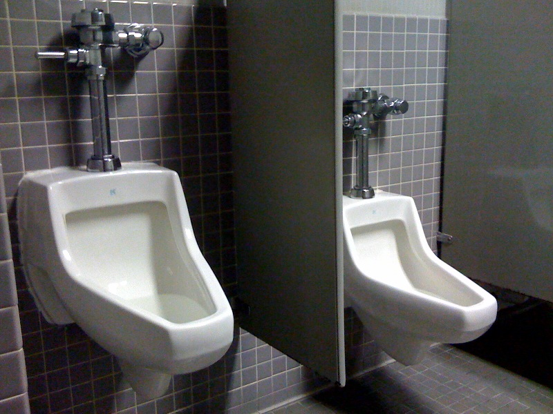 Geminus Celerius: Toilet Baby Poo