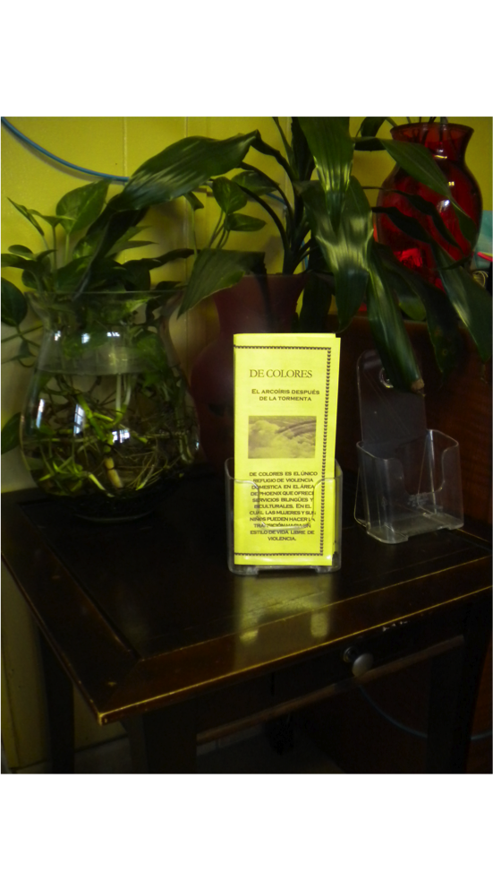 Women and Social Change: CPLC De Colores Women's Shelter