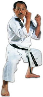 karate-do: historia del shito ryu