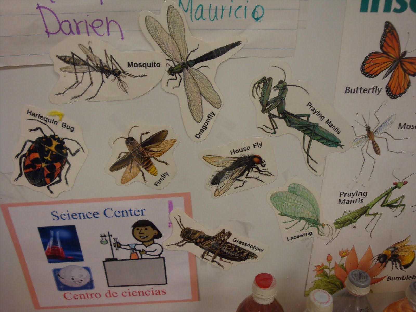 PreK--Preschool Ideas from Noey: buggy science center